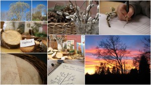 Exploring Trees Through Inquiry: A Reggio Inspired Unit – Love ...